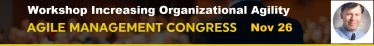 Workshop Improving Organizational Agility at Agile Management Congress 2019 - Ben Linders