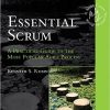 Book: Large-Scale Scrum: More with LeSS - Ben Linders